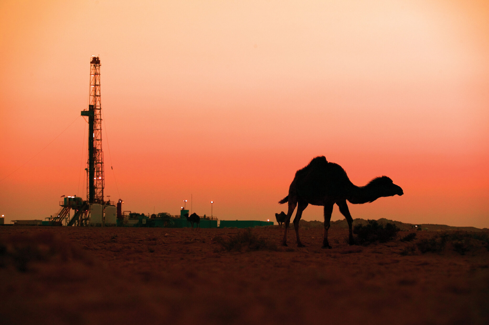 valiant-oman.com
